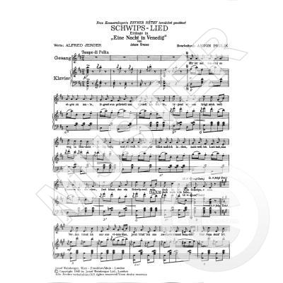 Schwipslied eine Nacht in Venedig